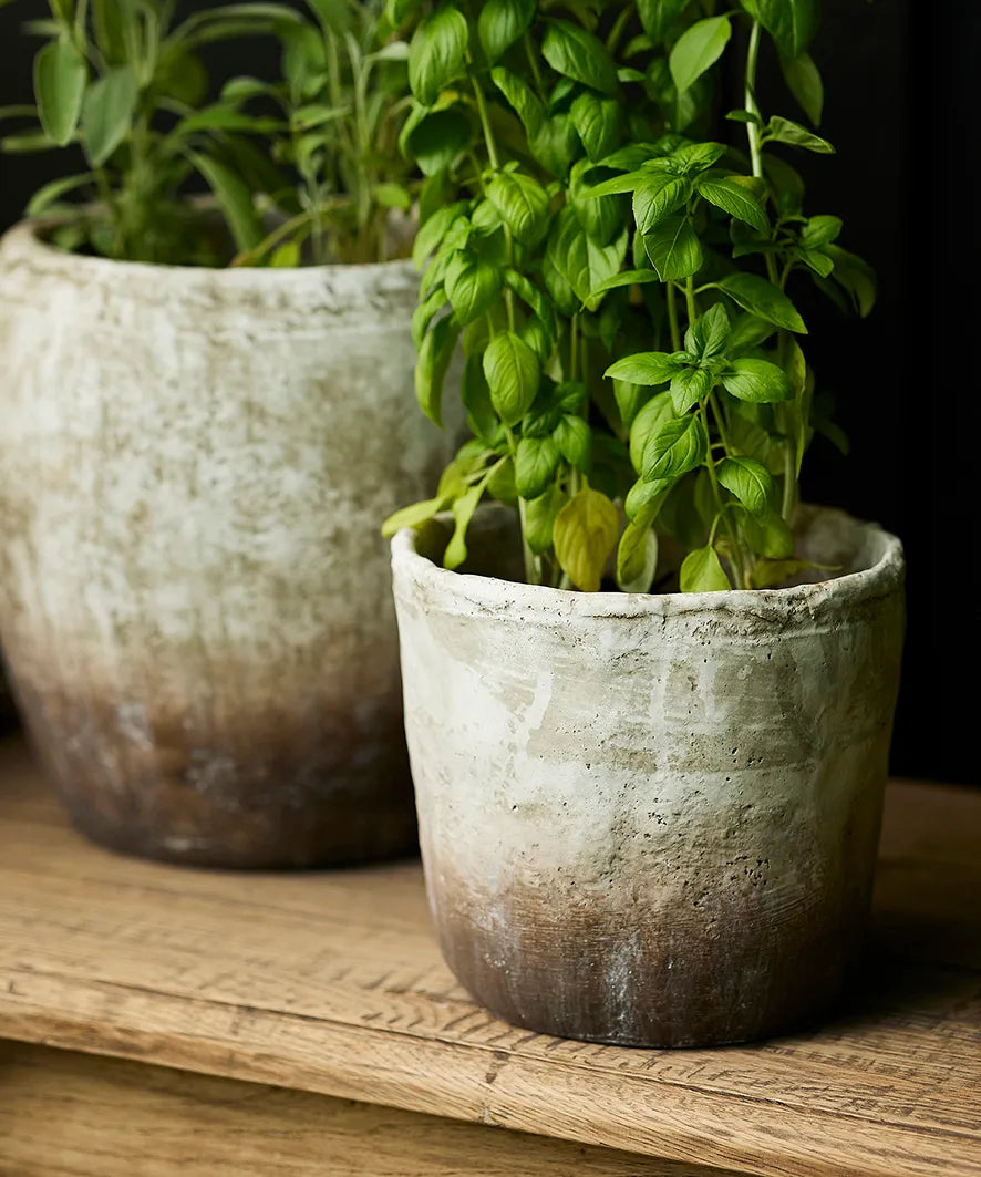 Marron Planter Pot – Hall Concept Store